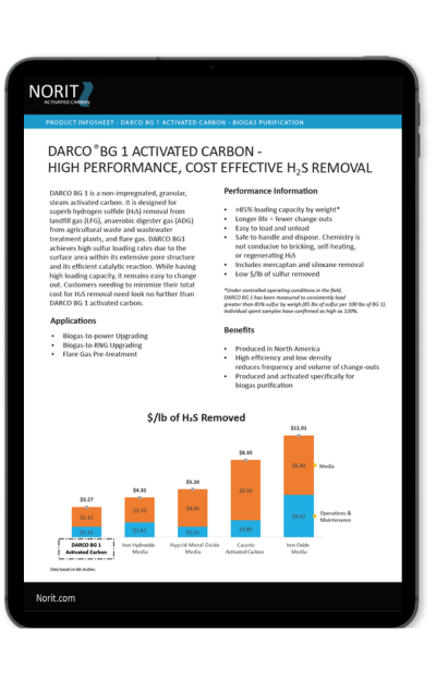 DARCO and NORIT activated carbon for Biogas, RNG, and Flare Treatment