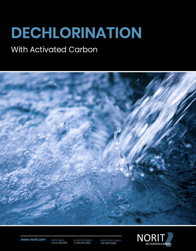 Water treatment: purification by NORIT activated carbon