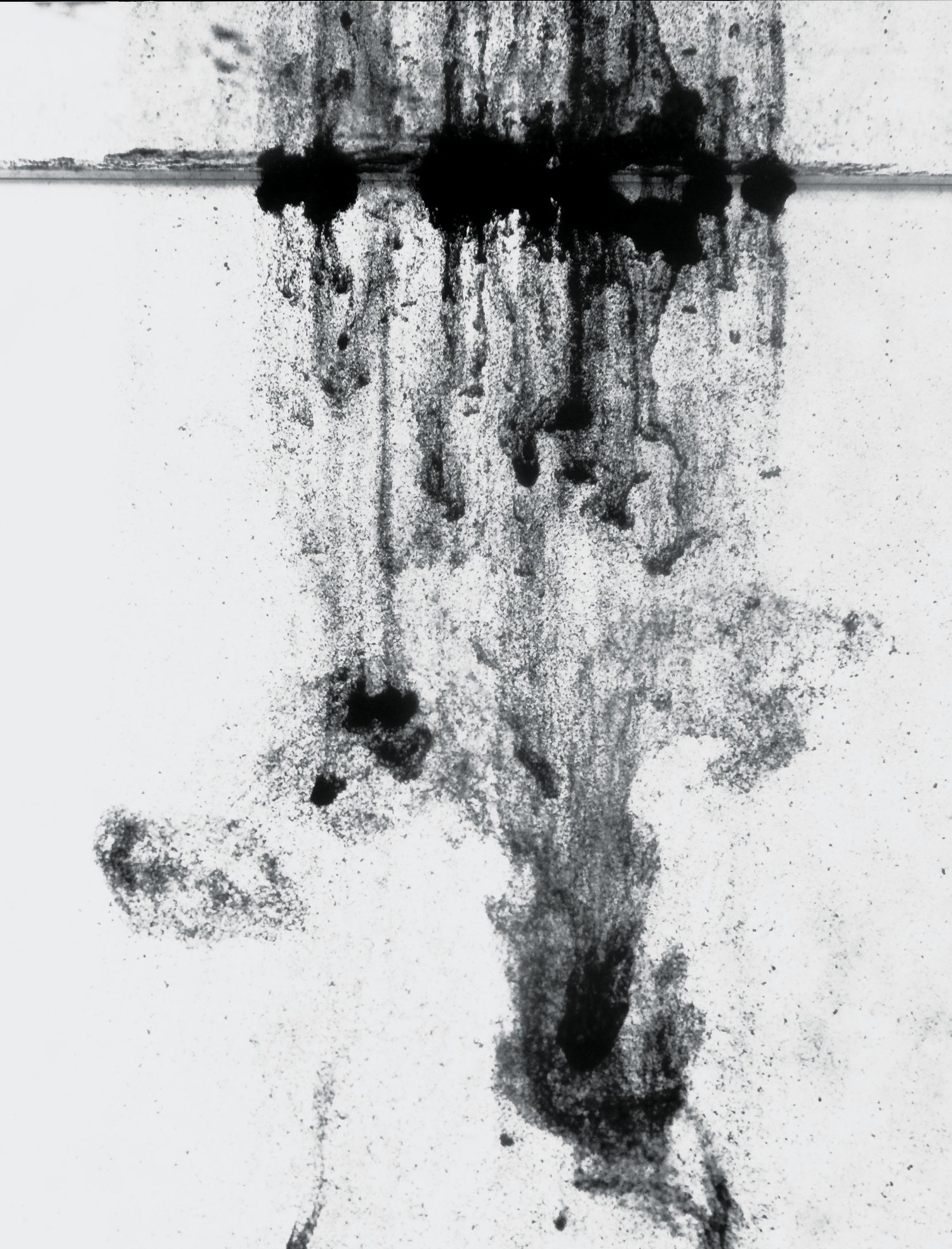 PFAS purification by NORIT activated carbon