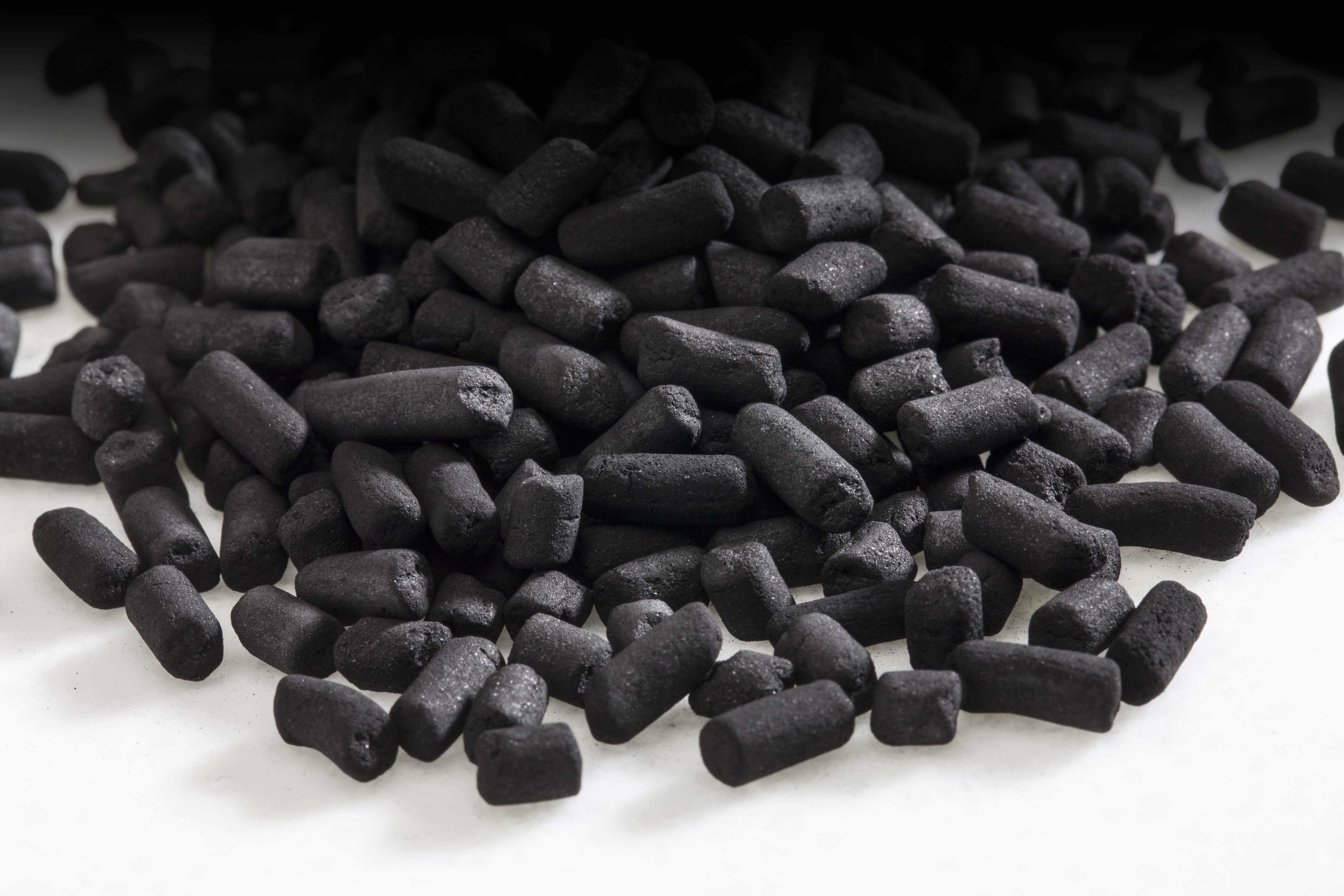 Norit Activated Carbon celebrated receiving ISO 22000 Food Safety ...