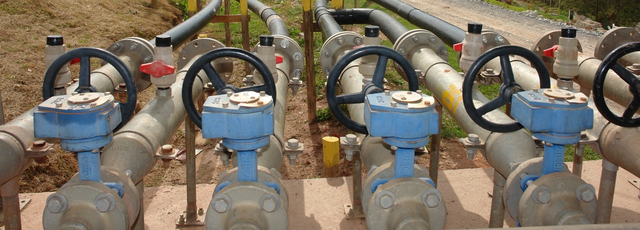 Nitrogen rejection (NRU) from biogas by NORIT activated carbon